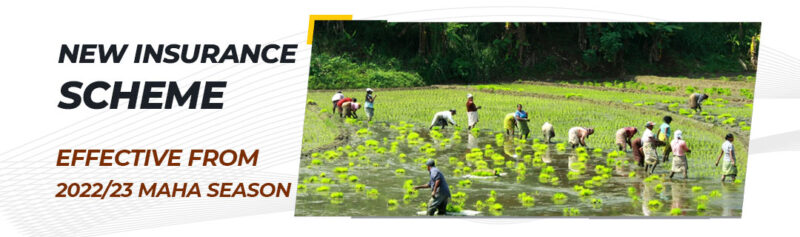 Paddy Season Insurance Schemes – Agricultural Insurance Board