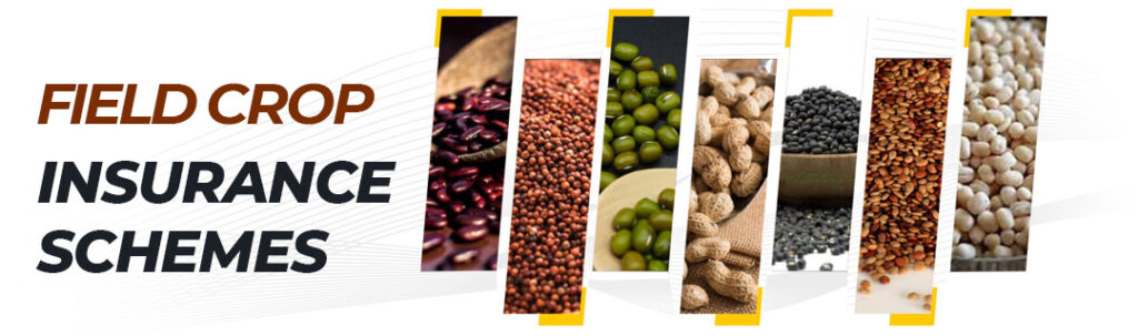Field Crop Insurance Schemes – Agricultural Insurance Board