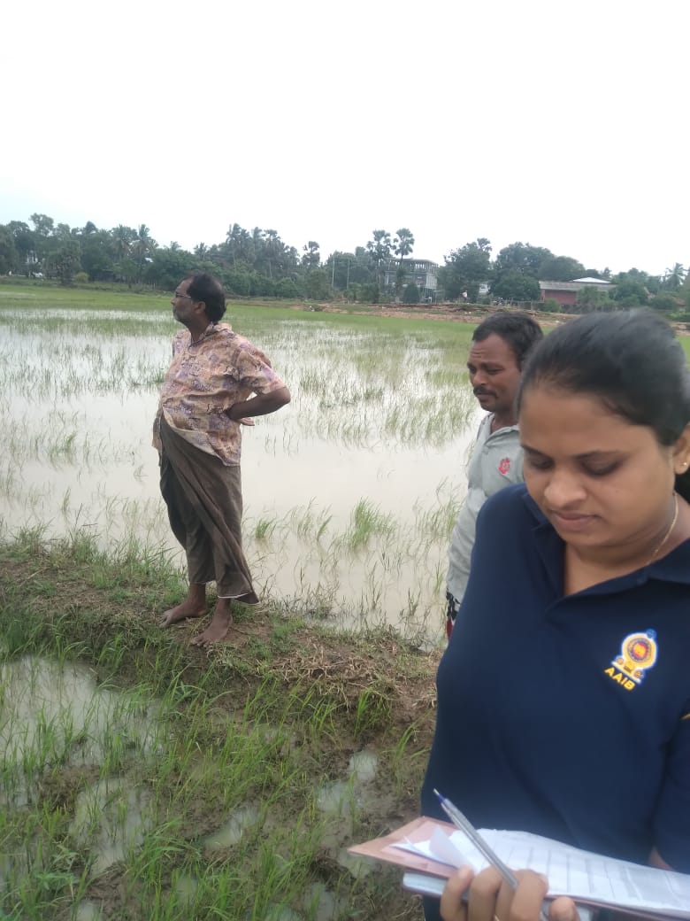 Crop Damage Inspection – Ampara Districts – Agricultural Insurance Board