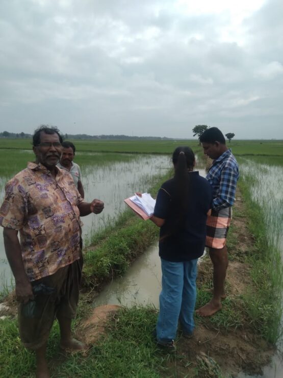 Crop Damage Inspection – Ampara Districts – Agricultural Insurance Board