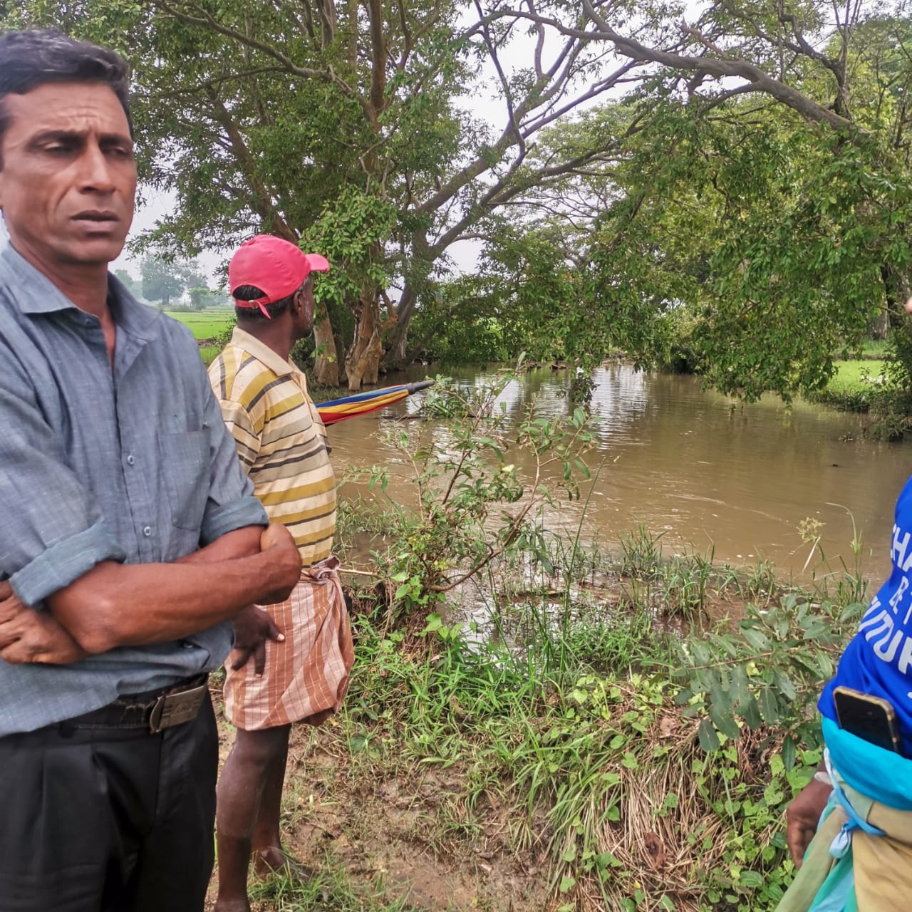 Crop Damage Inspection – Anuradhpura Districts – Agricultural Insurance ...