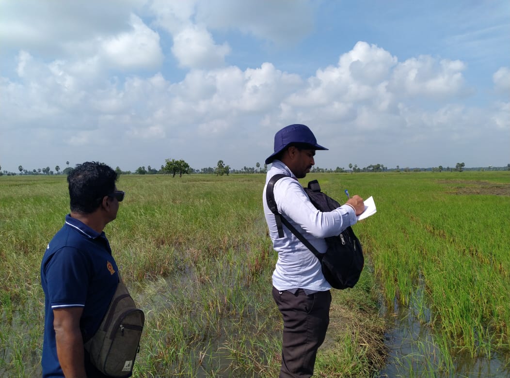 Crop Damage Inspection – Batticaloa Districts – Agricultural Insurance ...