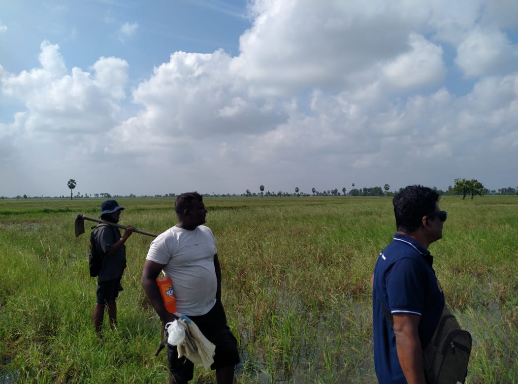 Crop Damage Inspection – Batticaloa Districts – Agricultural Insurance ...