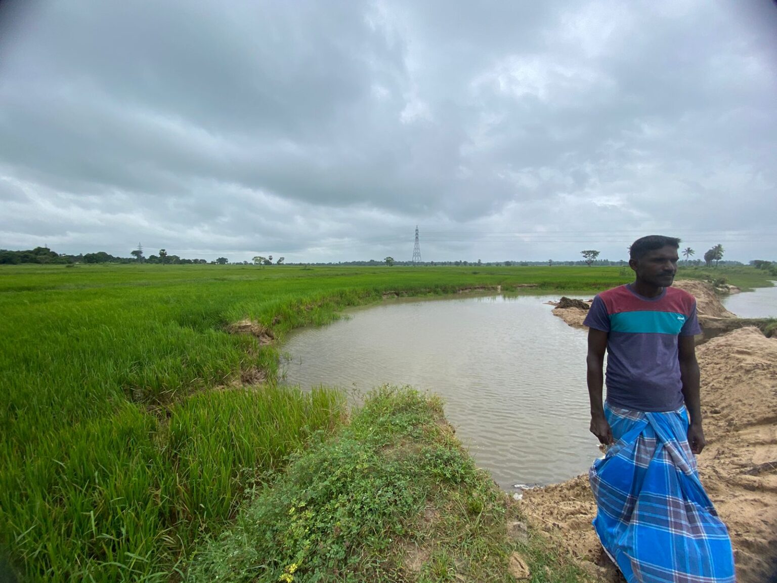 Crop Damage Inspection – Batticaloa Districts – Agricultural Insurance ...
