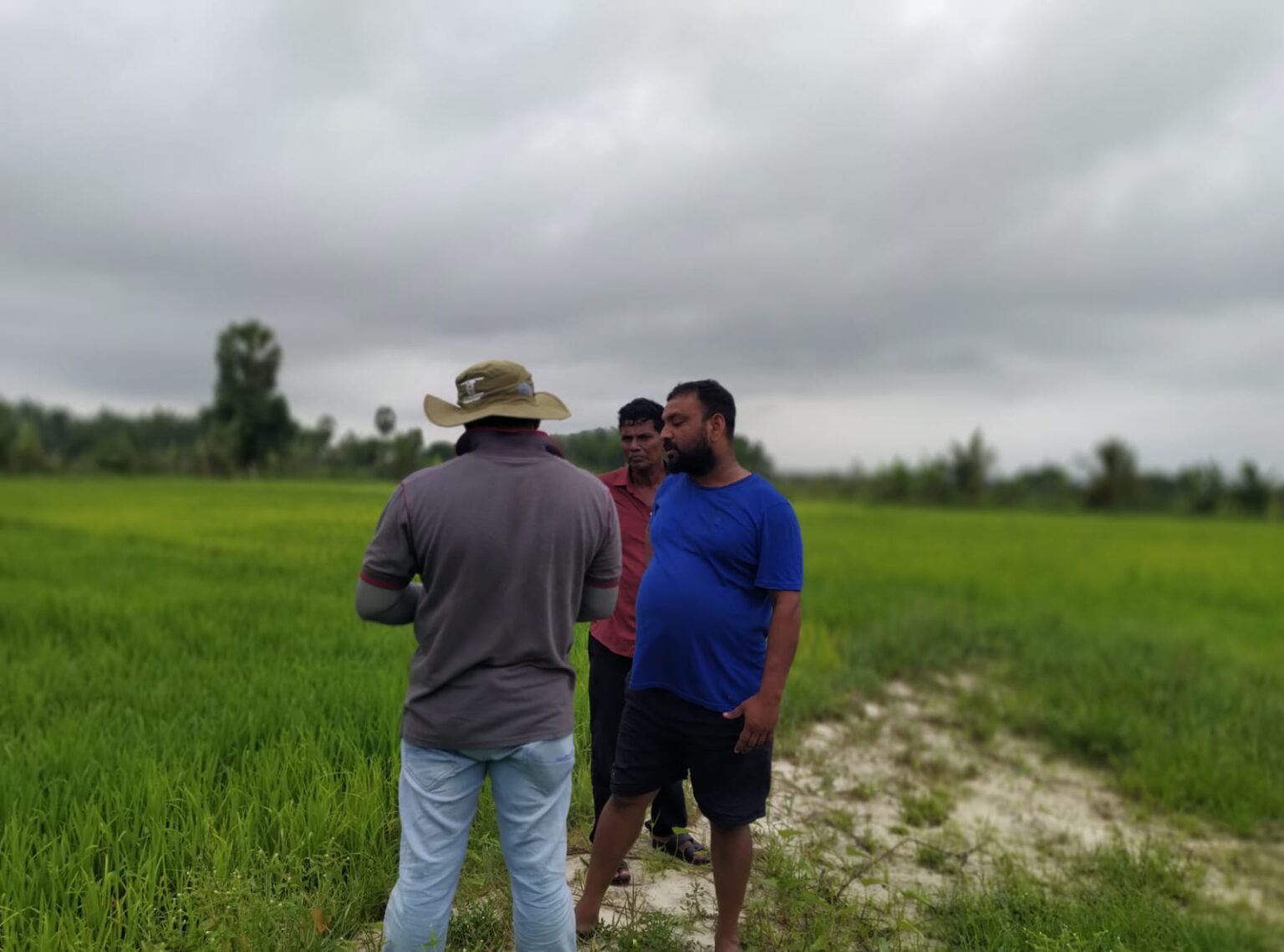 Crop Damage Inspection – Batticaloa Districts – Agricultural Insurance ...