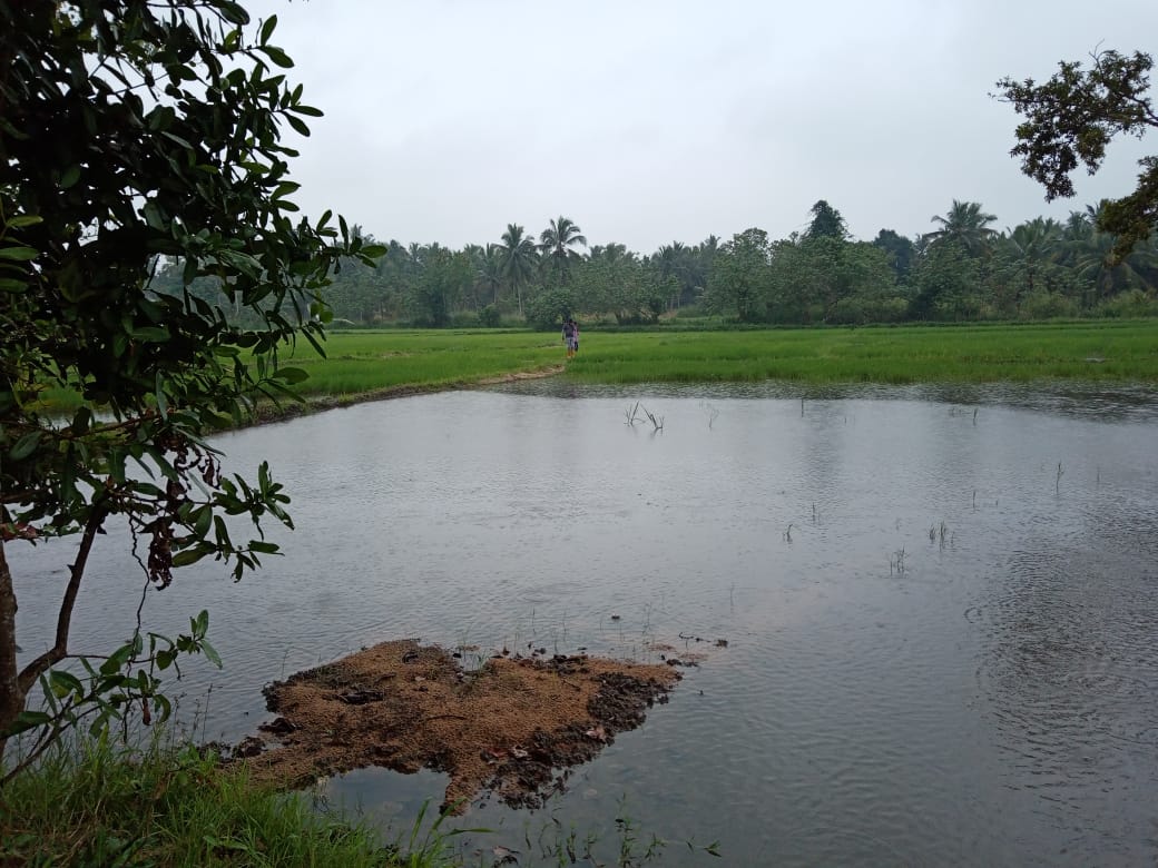 Crop Damage Inspection – Mahawa Districts – Agricultural Insurance Board