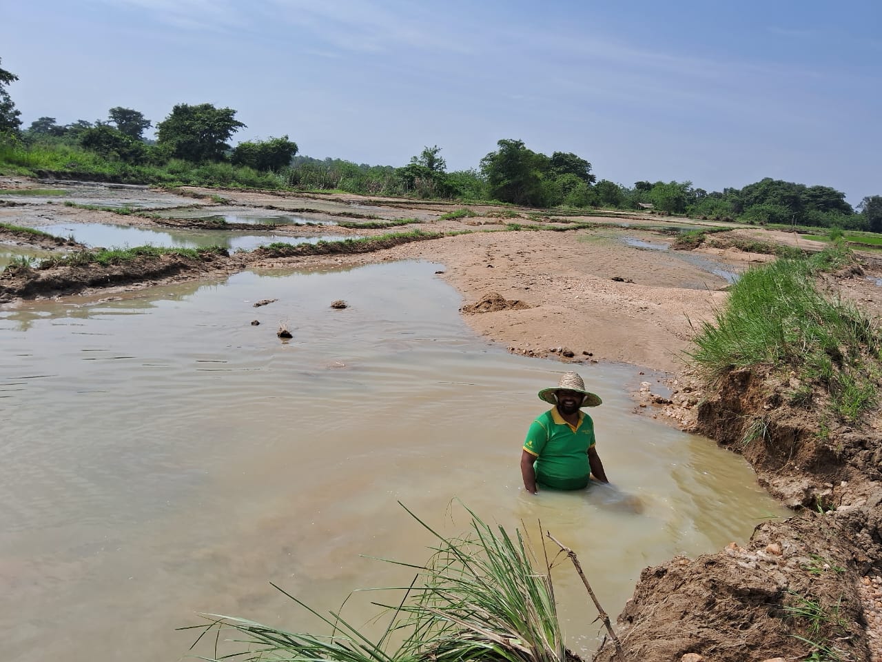 Crop Damage Inspection – Manampitiya Districts – Agricultural Insurance ...