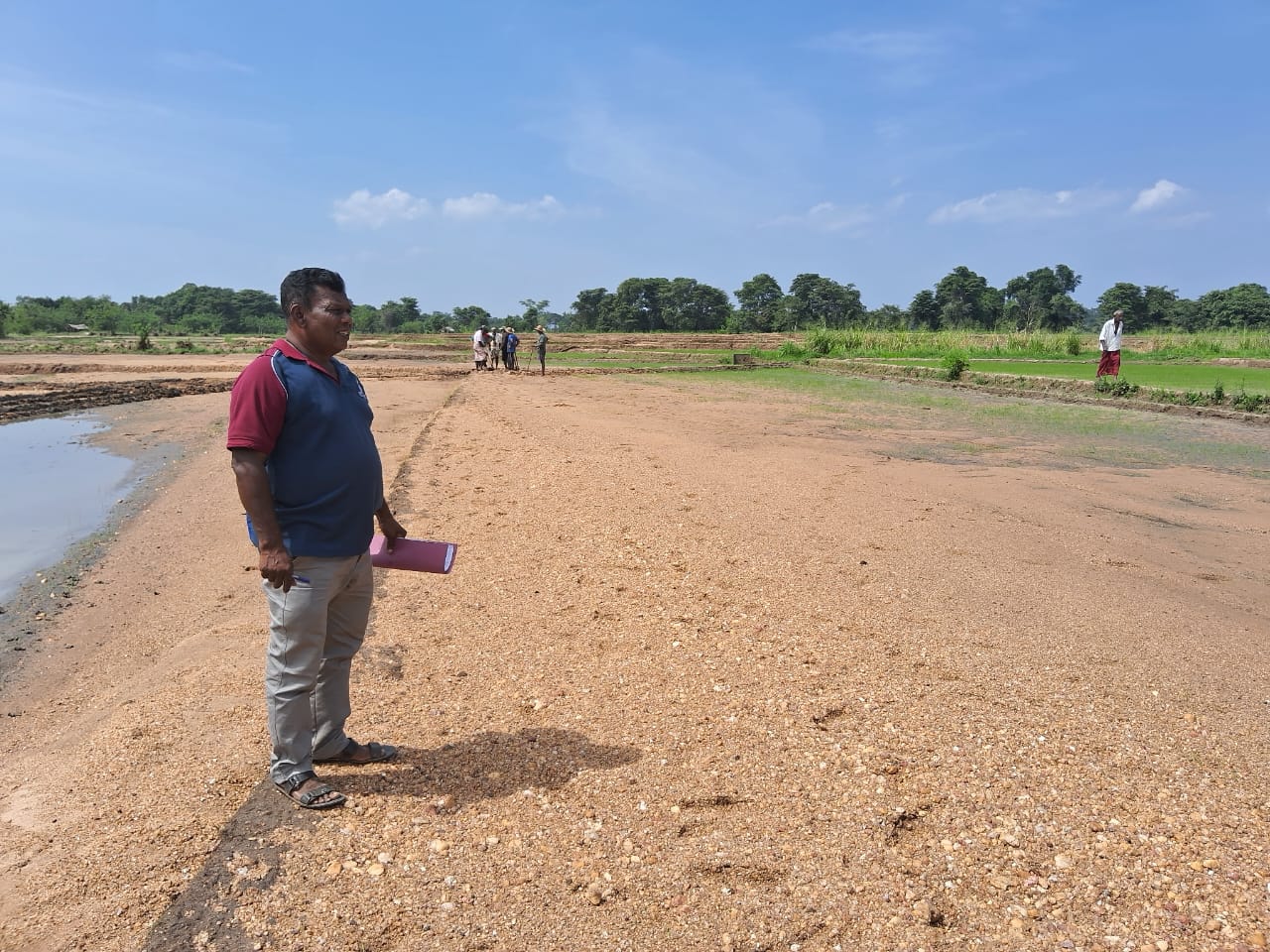 Crop Damage Inspection – Manampitiya Districts – Agricultural Insurance ...