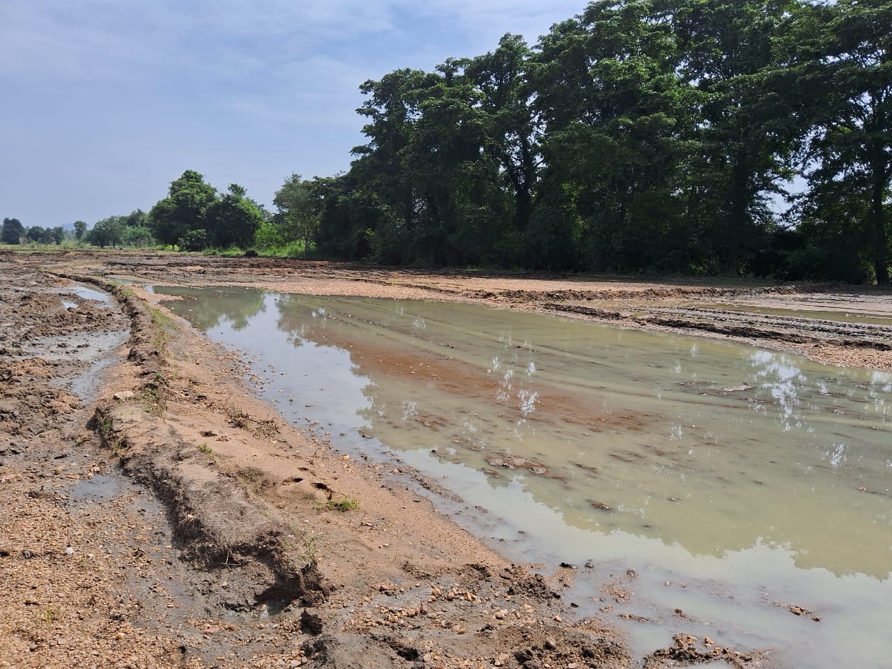 Crop Damage Inspection – Manampitiya Districts – Agricultural Insurance ...