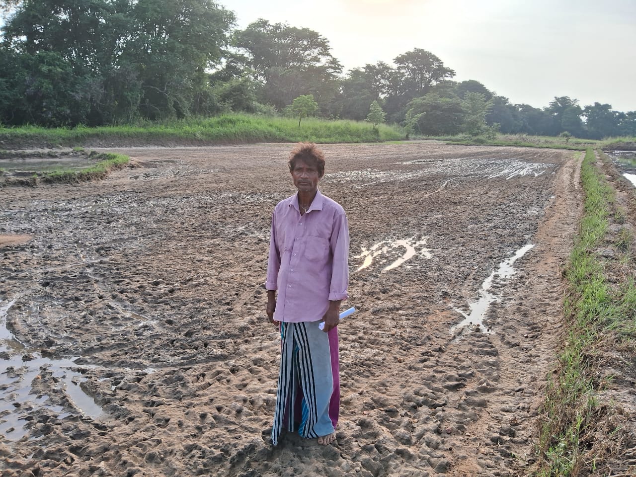 Crop Damage Inspection – Manampitiya Districts – Agricultural Insurance ...