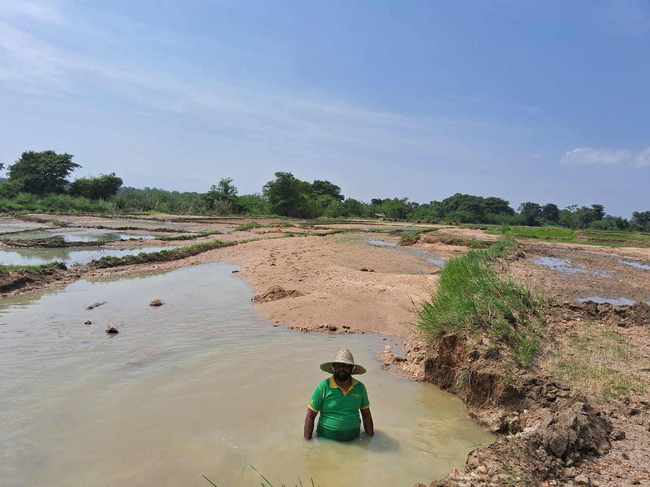 Crop Damage Inspection – Manampitiya Districts – Agricultural Insurance ...