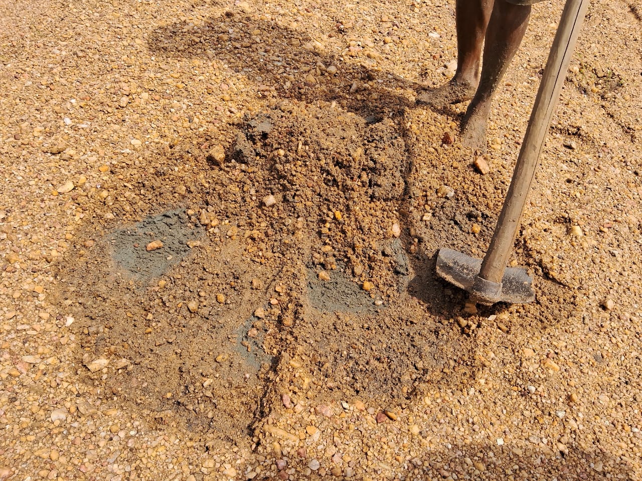 Crop Damage Inspection – Manampitiya Districts – Agricultural Insurance ...