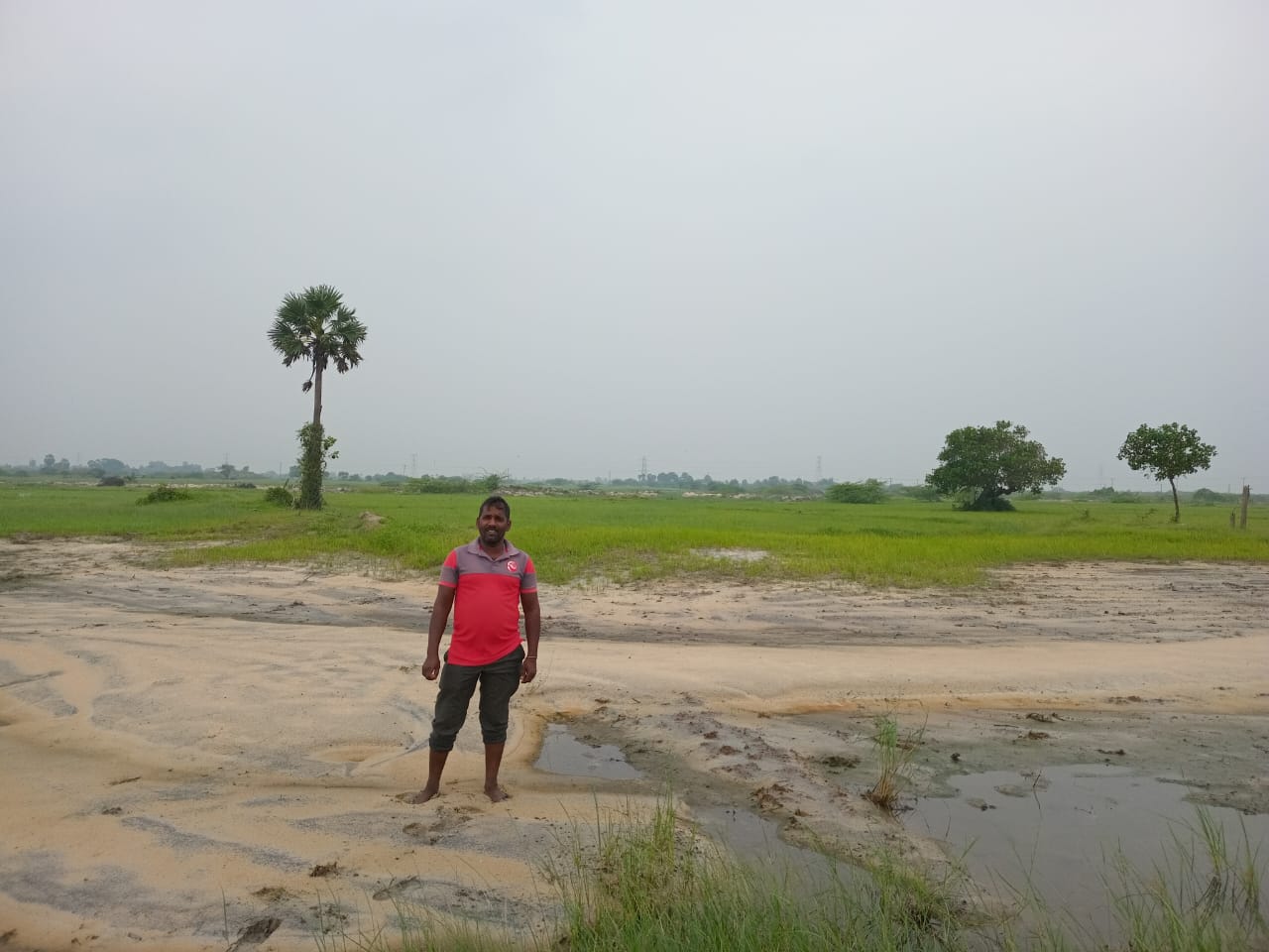 Crop Damage Inspection – Manner Districts – Agricultural Insurance Board