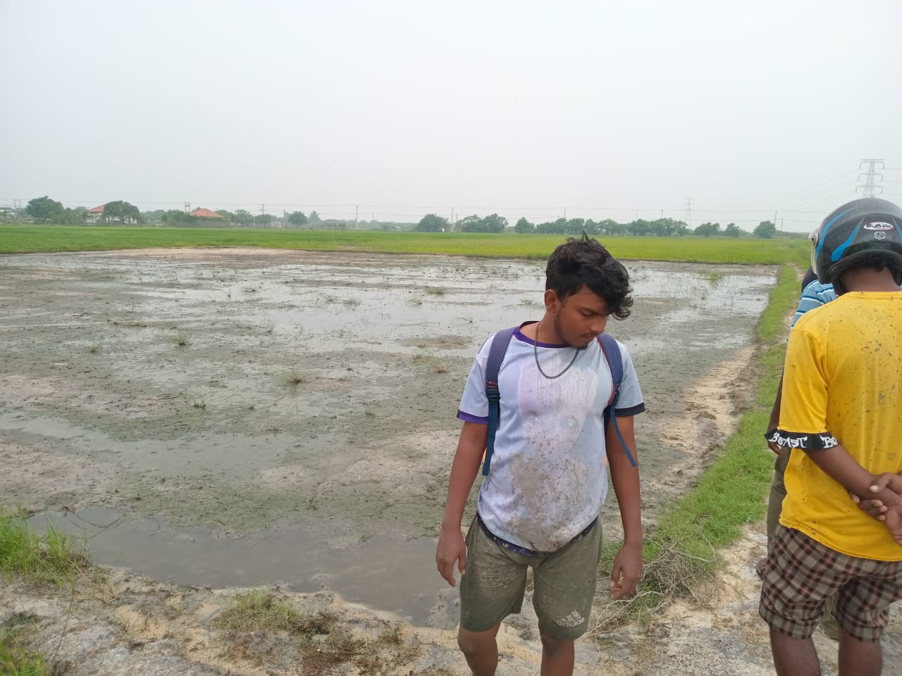 Crop Damage Inspection – Manner Districts – Agricultural Insurance Board