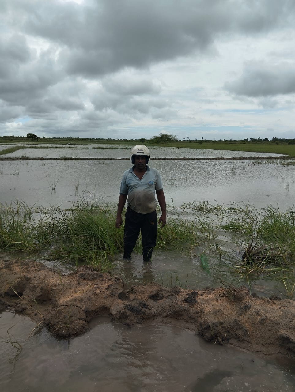 Crop Damage Inspection – Manner Districts – Agricultural Insurance Board