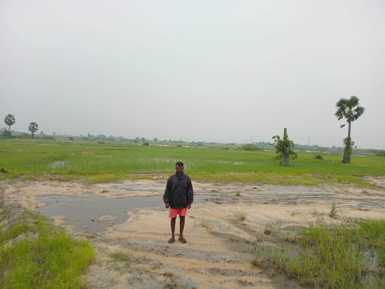 Crop Damage Inspection – Manner Districts – Agricultural Insurance Board