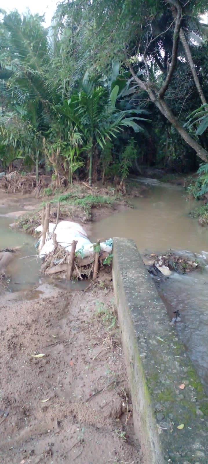 Crop Damage Inspection – Matale Districts – Agricultural Insurance Board